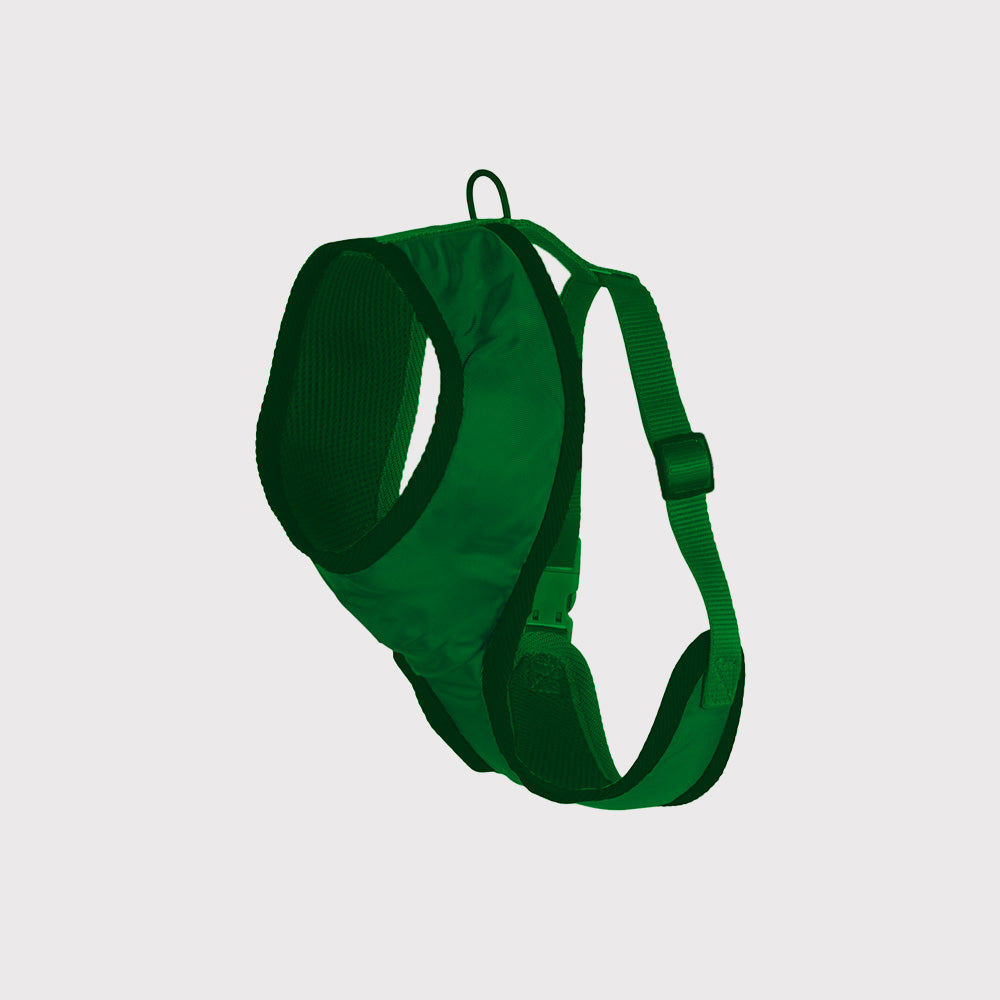 Chiens | achats en ligne | Agradi.fr