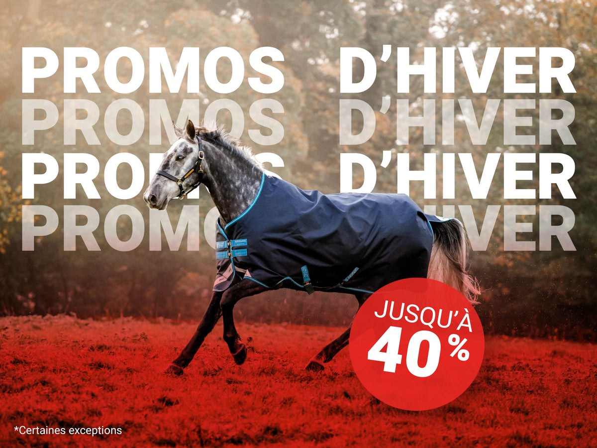 Agradi.fr : la boutique en ligne pour le domaine équestre