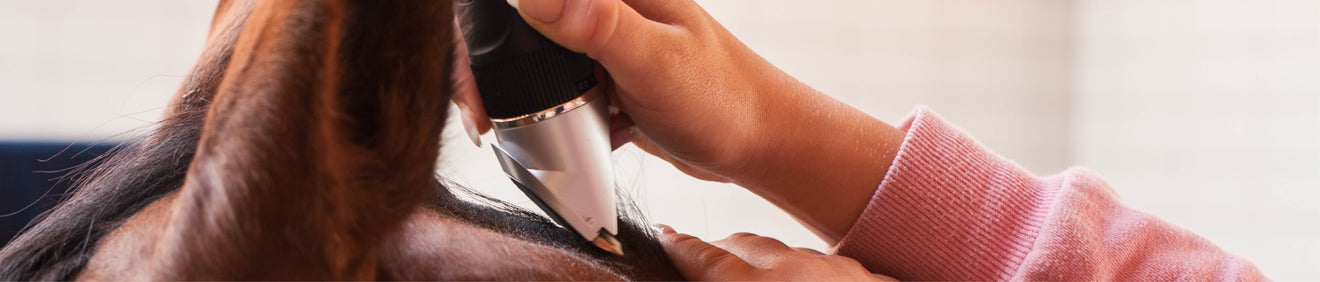 Sectolin | Agradi.fr